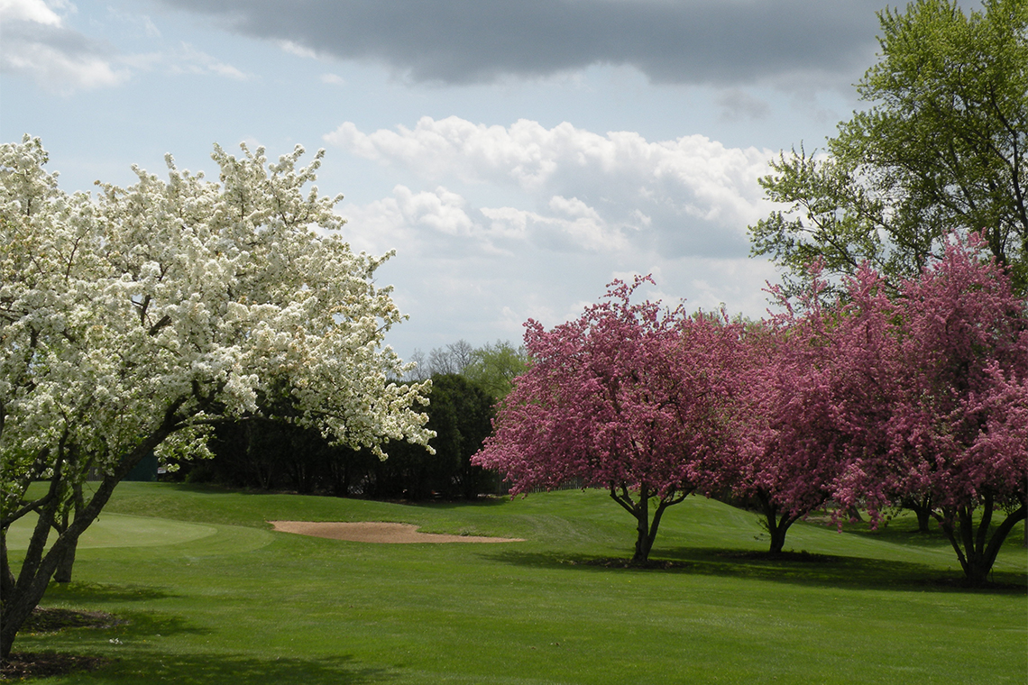 Home - HeatherRidge Golf Club